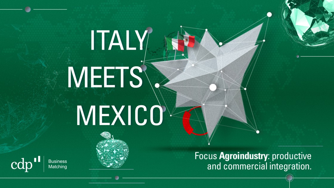 Italy meets Mexico - Focus Agroindustry: value chain integration in ...